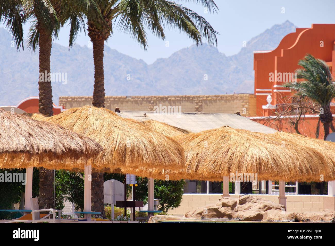 Straw shade umbrellas under green palm trees in tropical region against ...