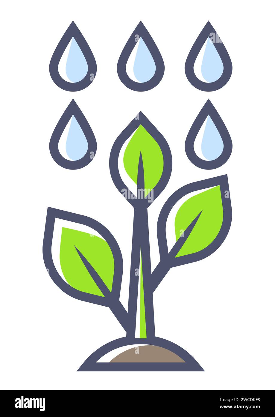 Watering grown sprout. Agricultural, cultivation and planting ...