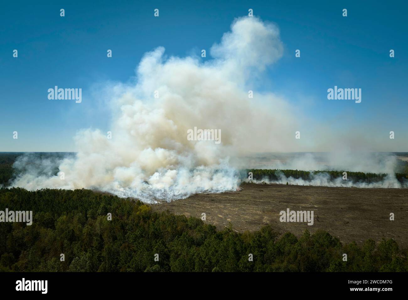 Rising ecosystem temperature hi-res stock photography and images - Alamy