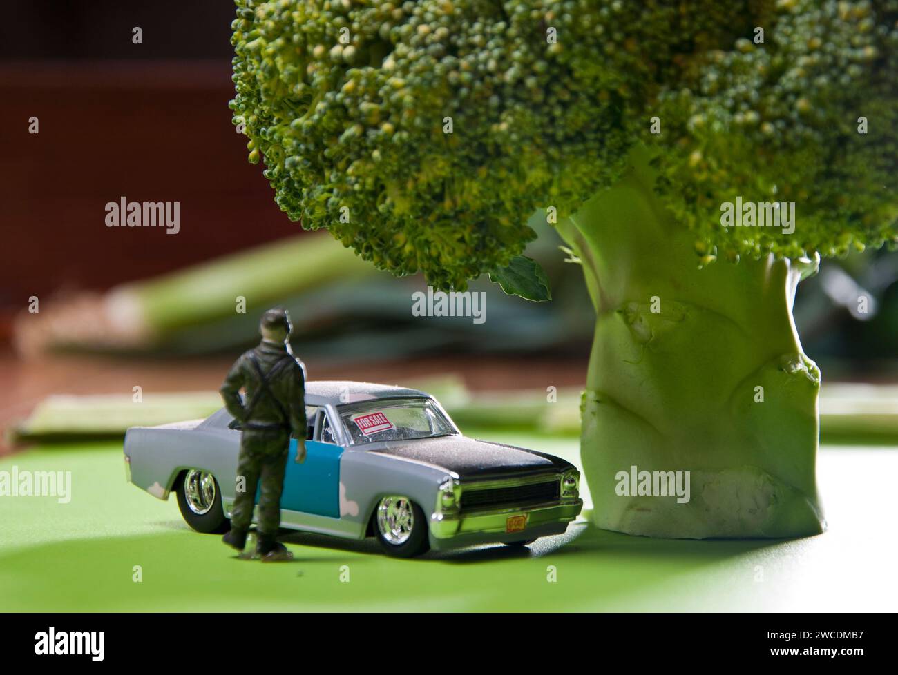 Miniature garden diorama hi-res stock photography and images - Alamy