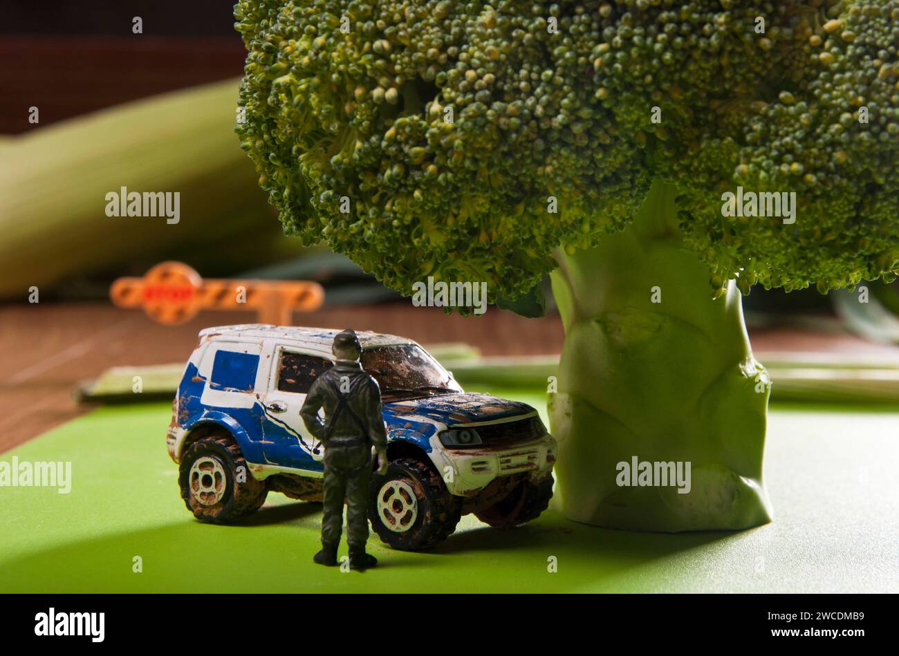 Miniature garden diorama hi-res stock photography and images - Alamy