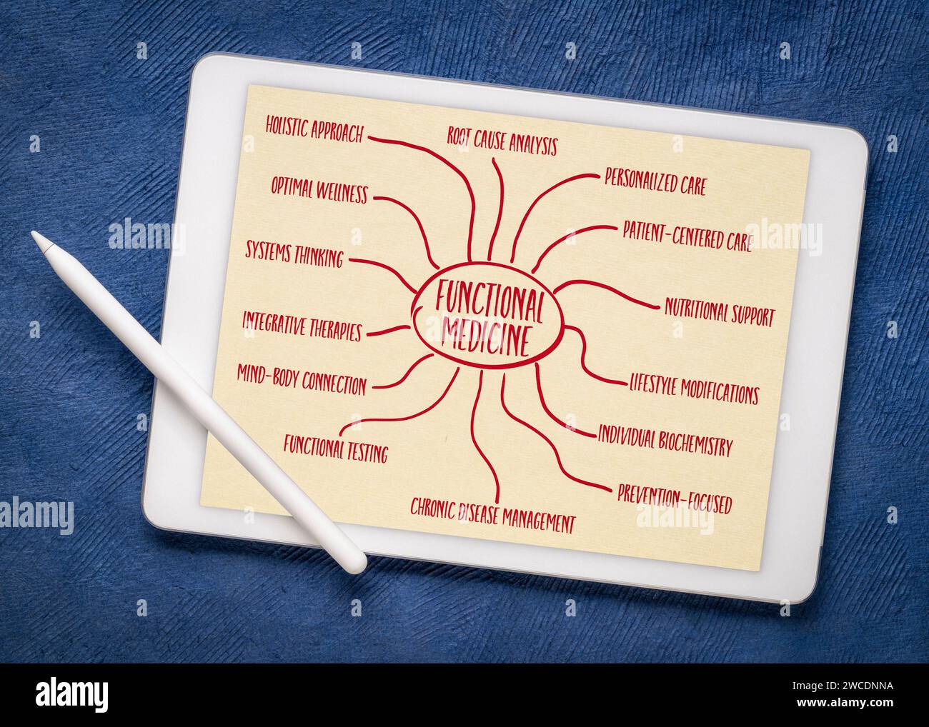 functional medicine infographics or mind map sketch on a digital tablet ...