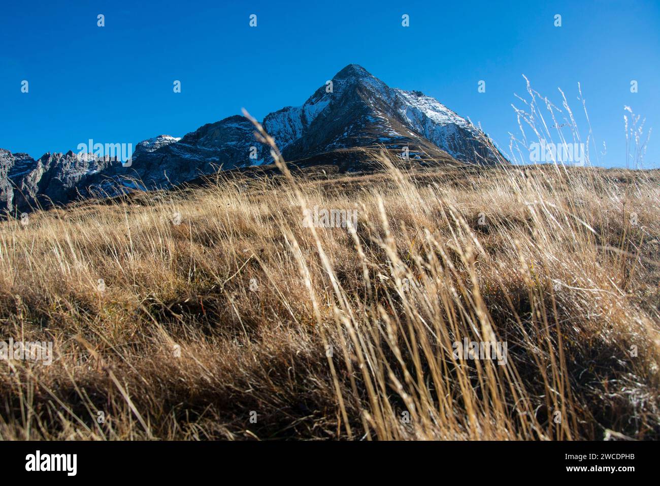 Parc Ela: Aufstieg zur Chamona-Hütte und Blick ins Val Spadlatscha ...
