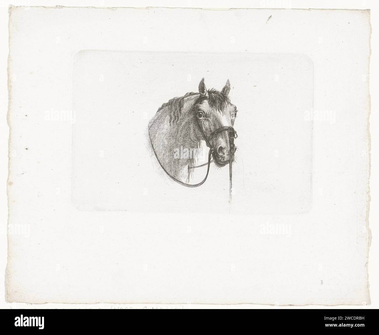 Head slightly Cut Out Stock Images & Pictures - Alamy