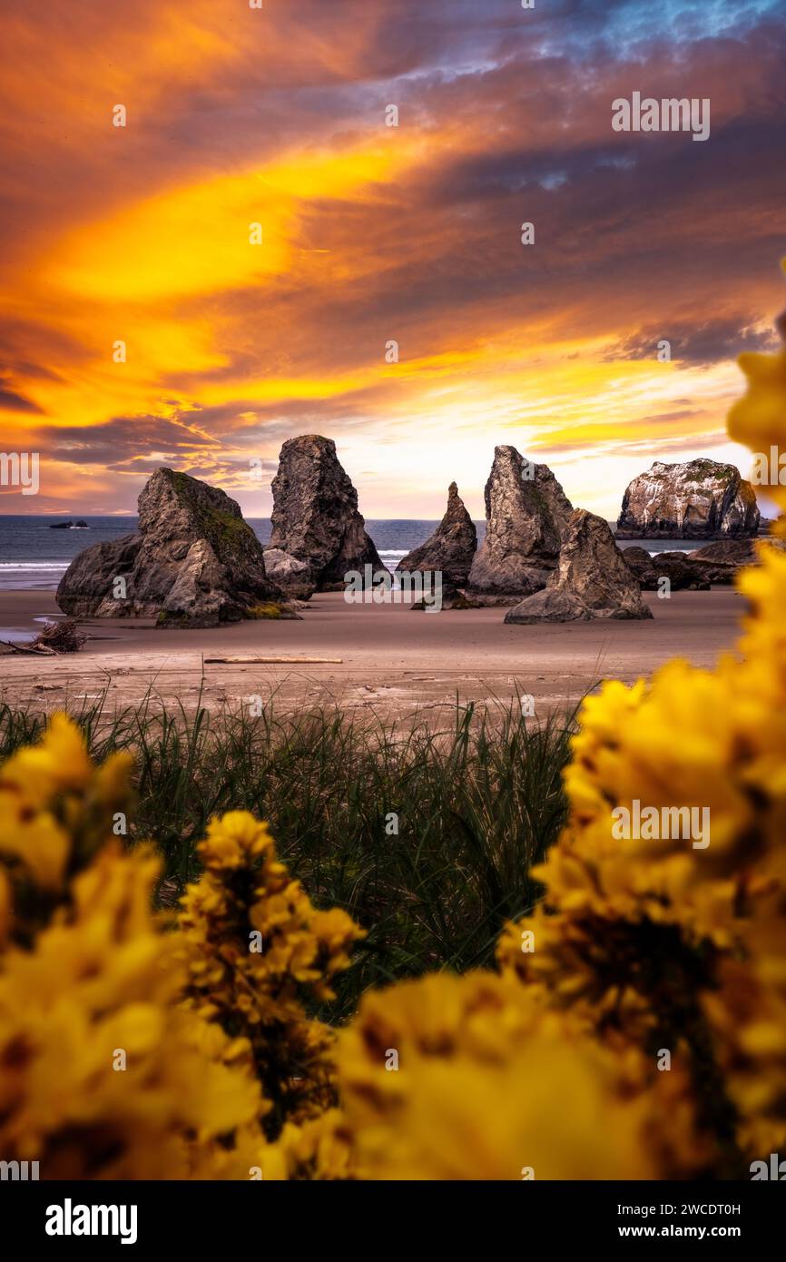 A fine art landscape photography image of the iconic sea stacks at Face ...