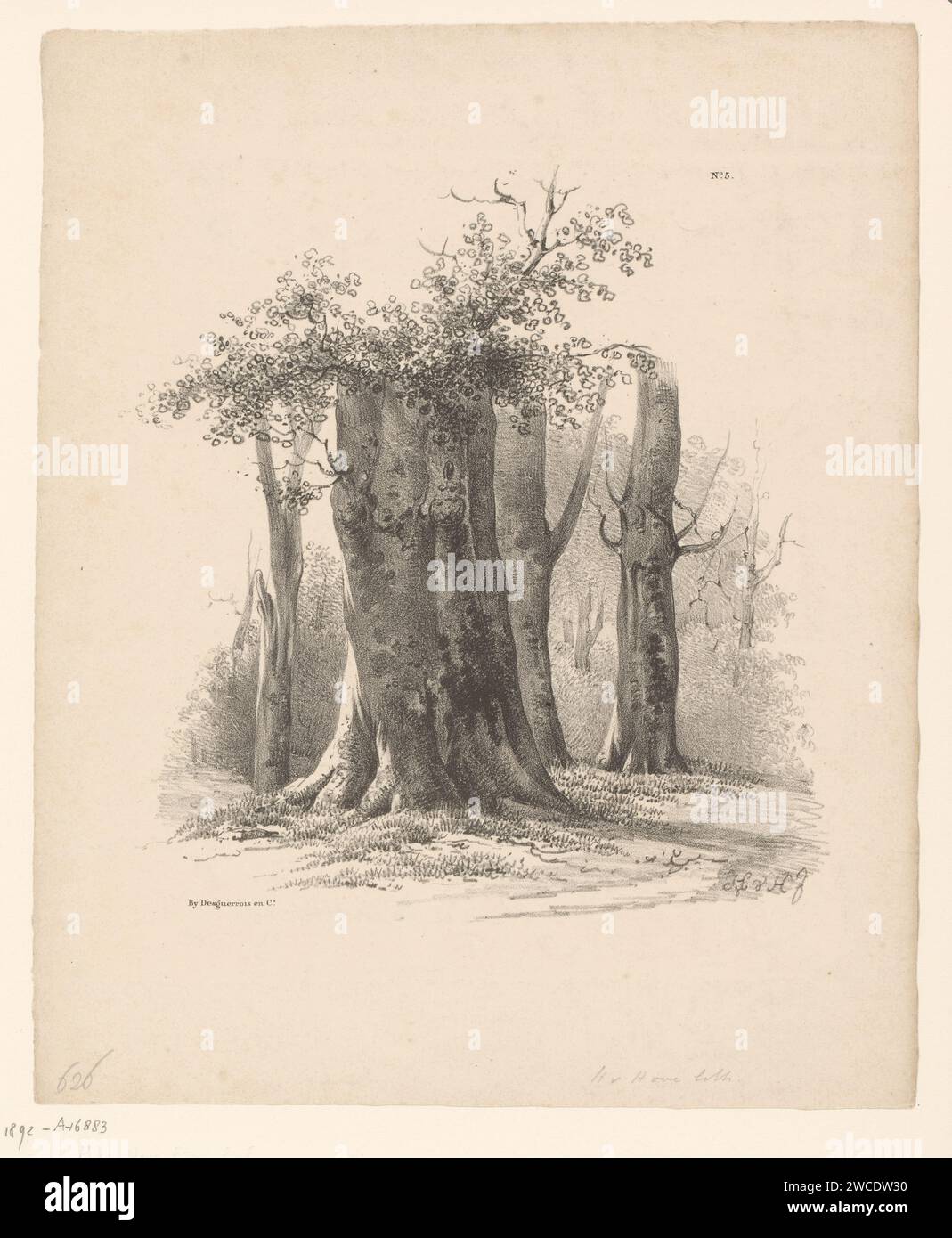 Trees in a forest, Huib van Hove BZ, 1827 - 1867 print Numbered at the ...