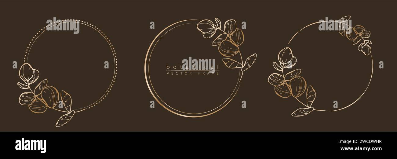 Botanical golden circle frame set. Hand drawn round line border, leaves ...