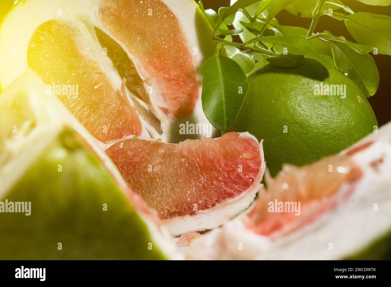 pieces of red Pomelo fruit on an orange background, optical flare Stock ...