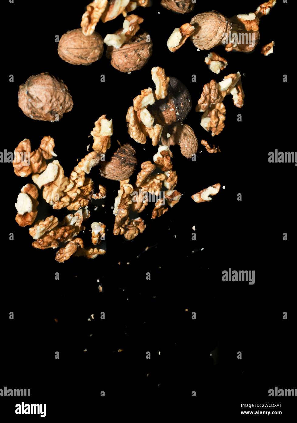 Many falling wallnuts isolated on black background. Narrow focus ...