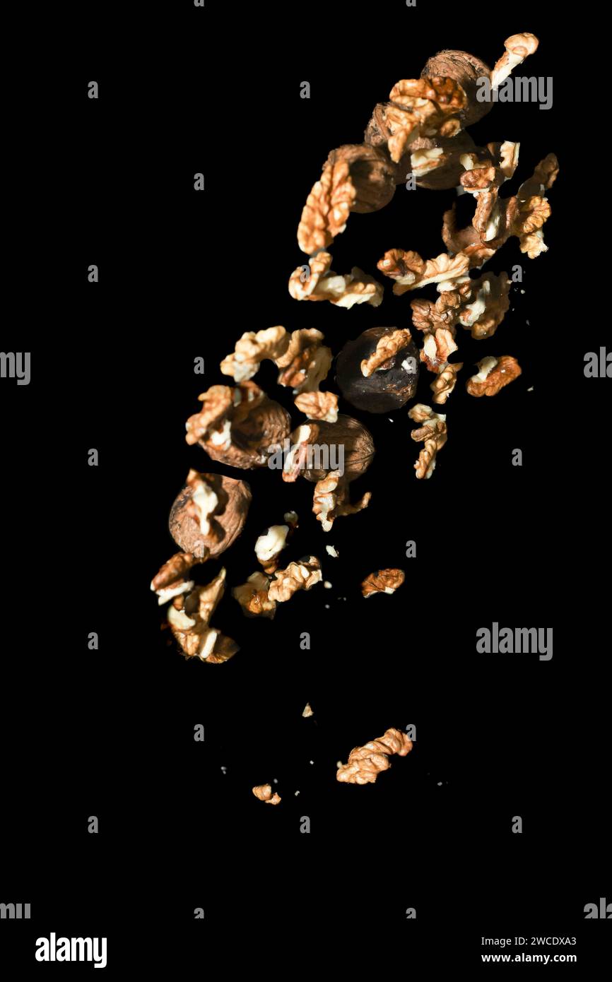 Many falling wallnuts isolated on black background. Narrow focus ...