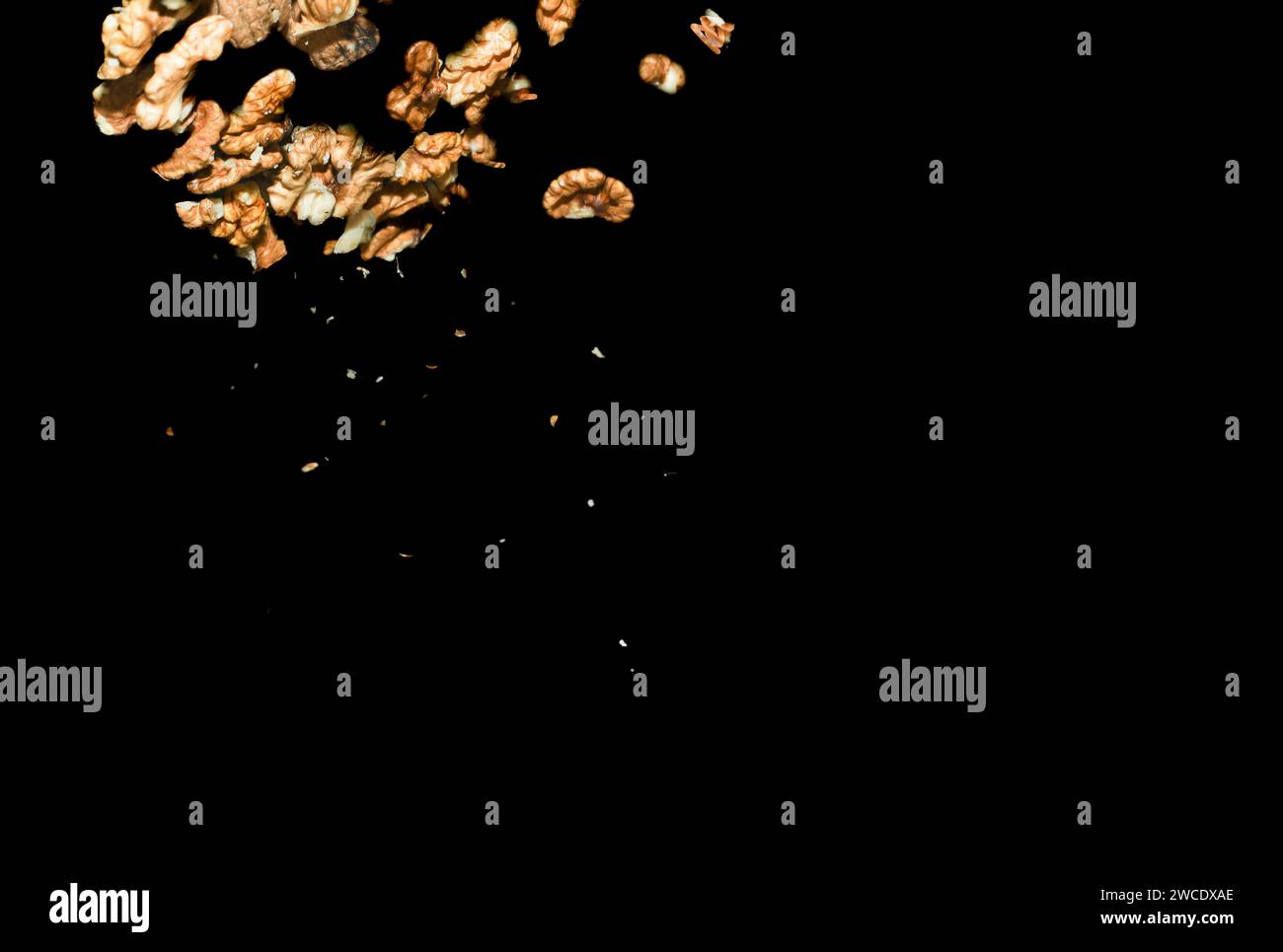 Many falling wallnuts isolated on black background. Narrow focus ...