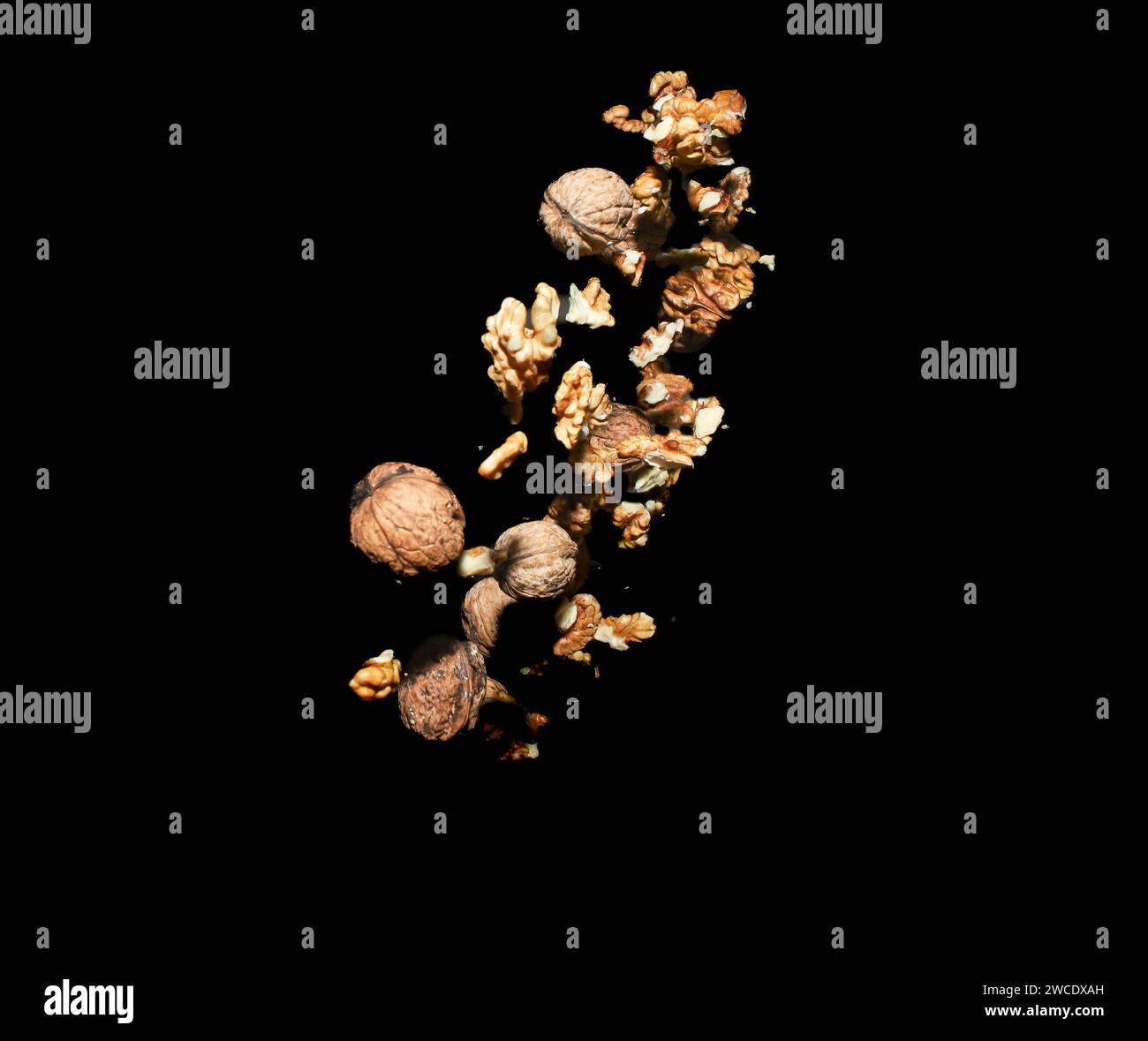 Many falling wallnuts isolated on black background. Narrow focus ...