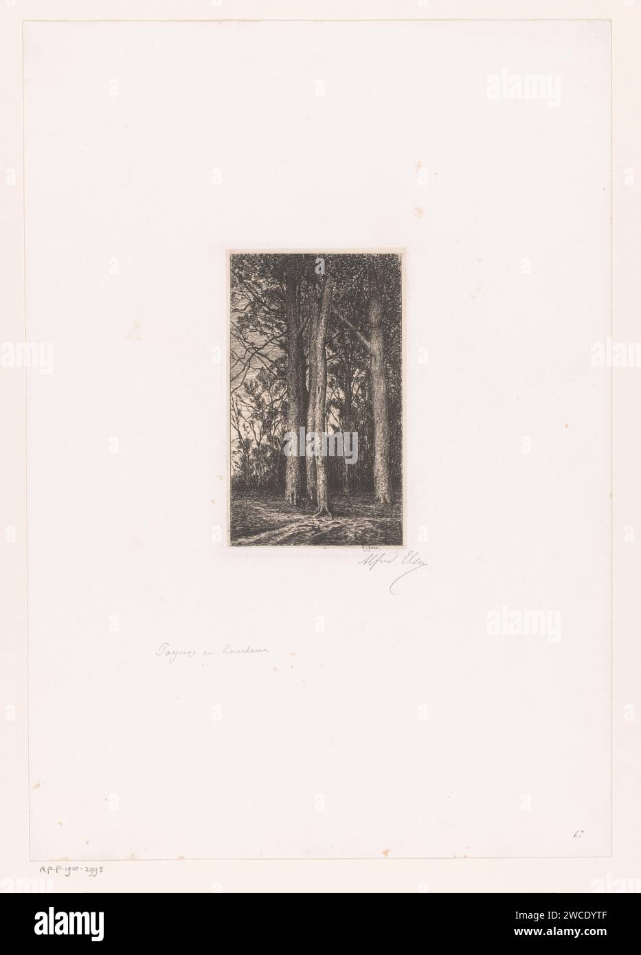 Forest face with high trees, Alfred Elsen, 1860 - 1910 print paper ...