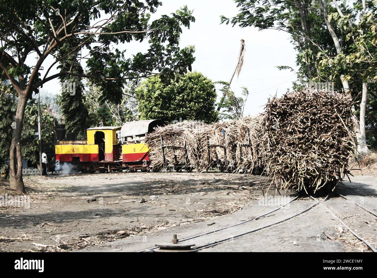 Old train carrying sugar cane in the sugar factory Stock Photo - Alamy