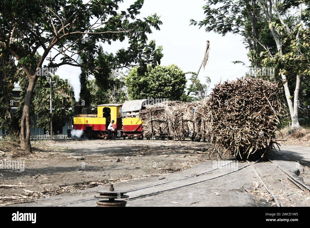 Old train carrying sugar cane in the sugar factory Stock Photo - Alamy