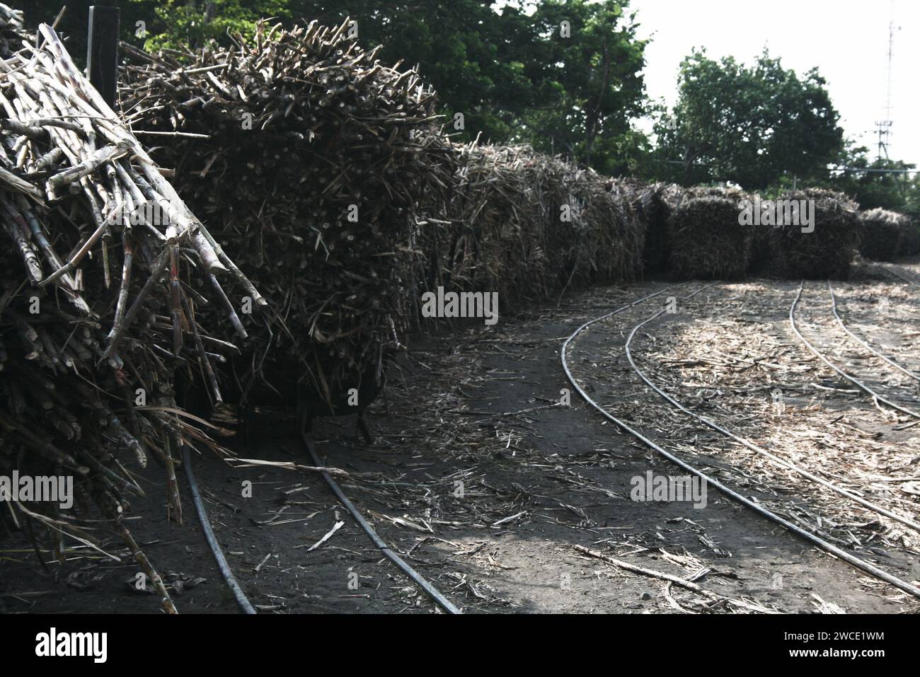 Sugar cane industry factory hi-res stock photography and images - Alamy