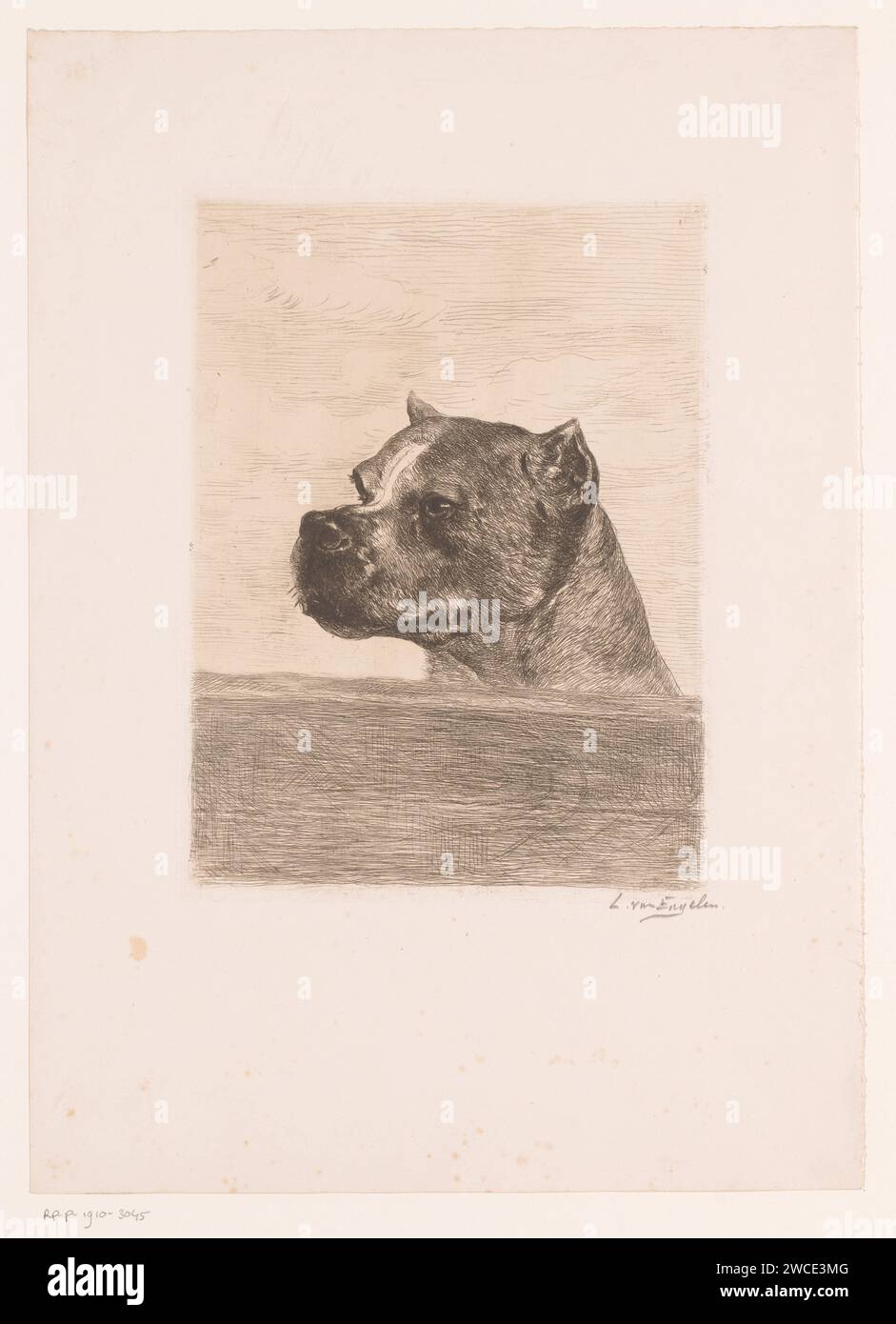 Louis van engelen hi-res stock photography and images - Alamy