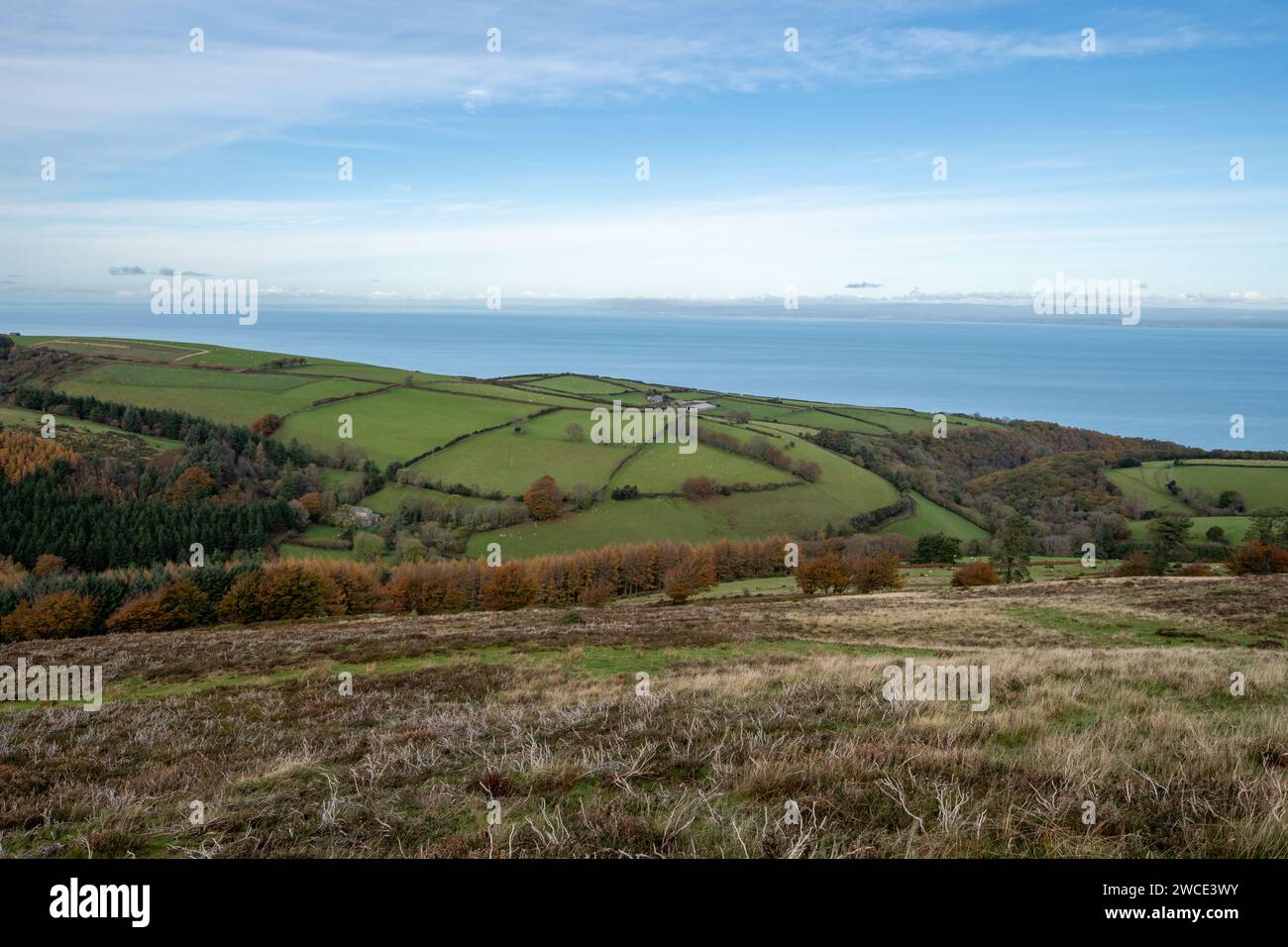 Landscape photo of the autumn colours on Porlock Common at the top of ...