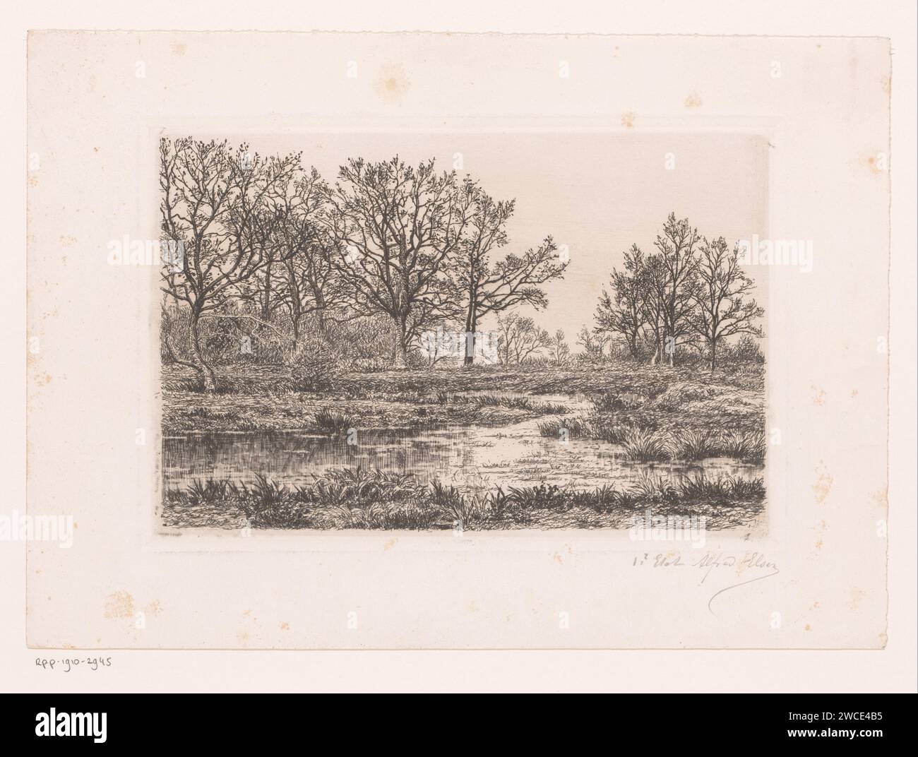 Swamp landscape with trees, Alfred Elsen, 1860 - 1910 print paper ...