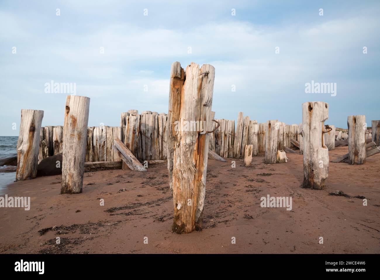 Old tree trunks breakwater hi-res stock photography and images - Alamy
