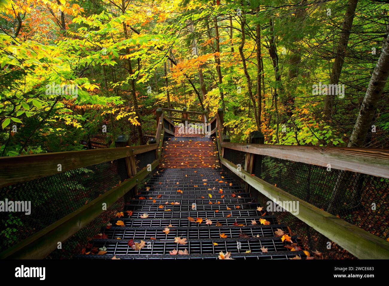 Gorge Stairs, Tahquamenon Falls State Park, Michigan Stock Photo - Alamy