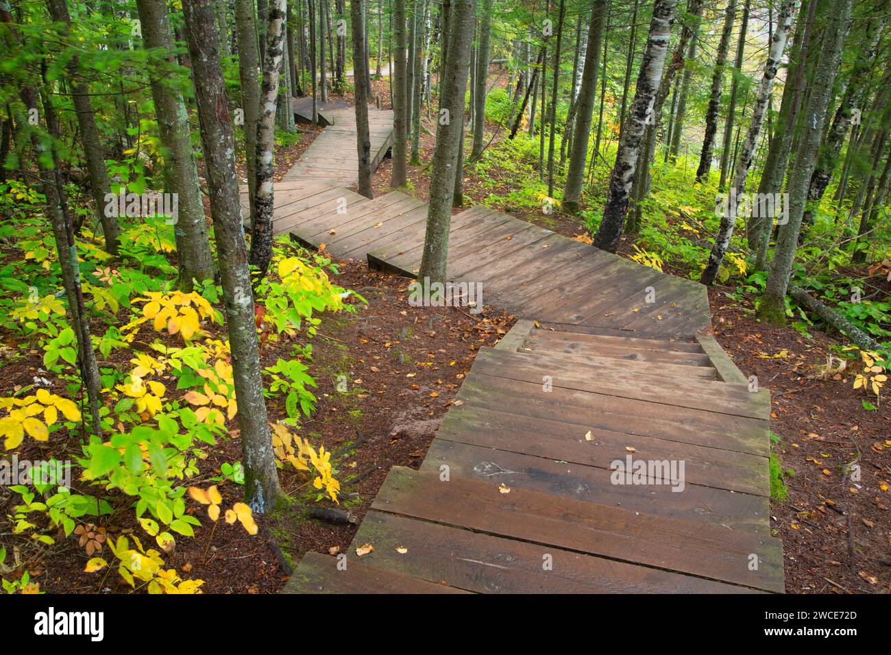 Superior Hiking Trail, Tettegouche State Park, Minnesota Stock Photo ...