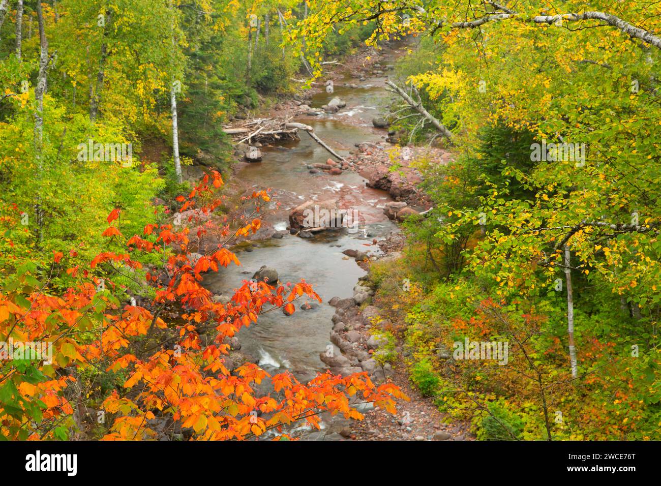 Caribou creek hi-res stock photography and images - Alamy