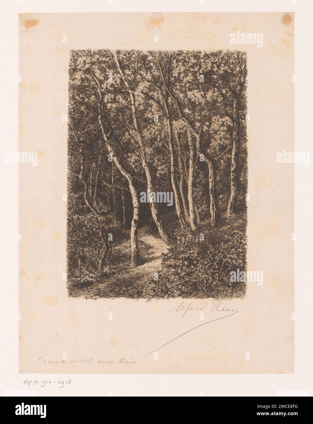Forest face with forest path, Alfred Elsen, 1860 - 1910 print paper ...