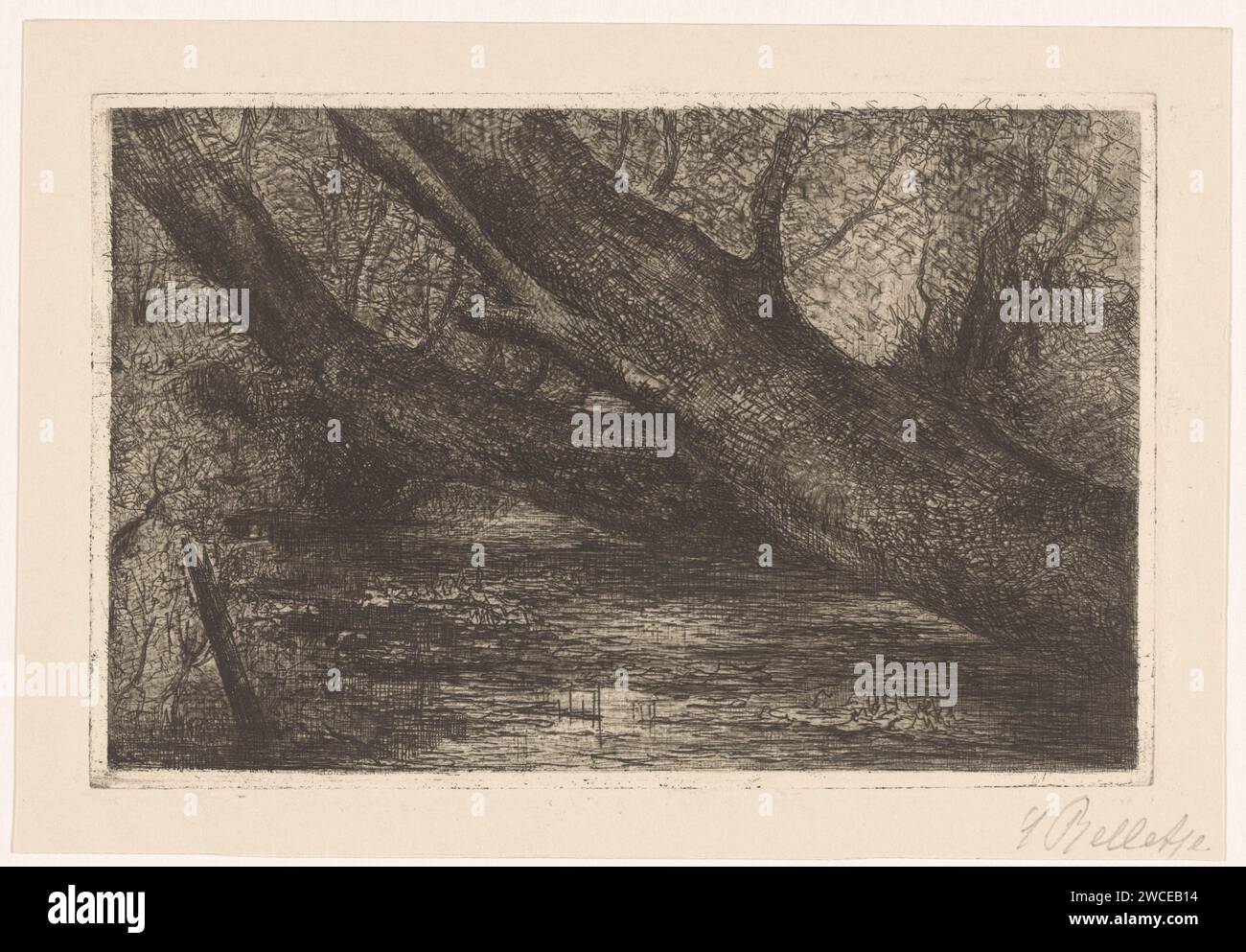 Bank with hanging trees, Cornelia Christina Johanna van Trigt ...