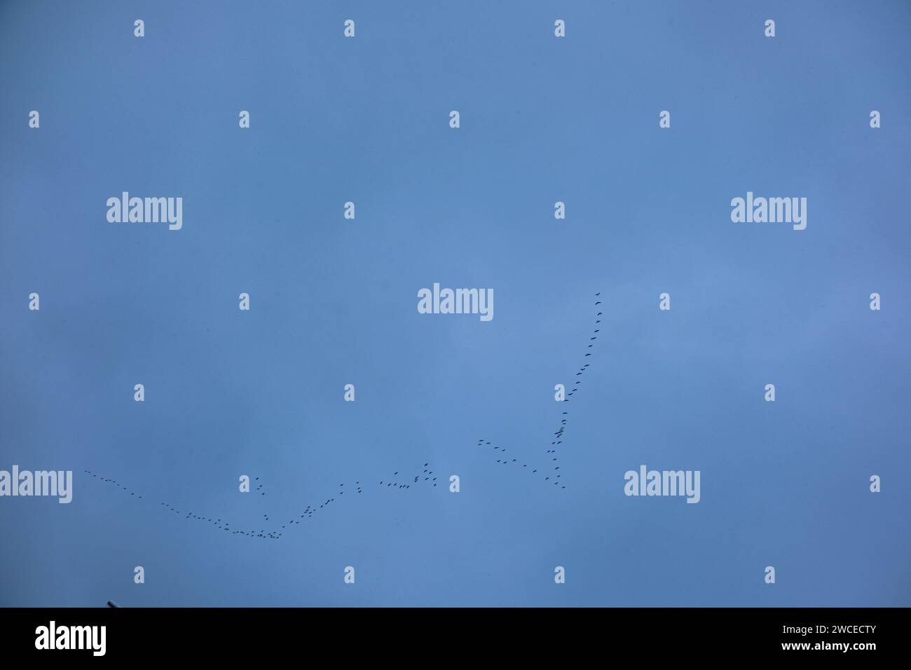 Flying wedge formation hi-res stock photography and images - Alamy