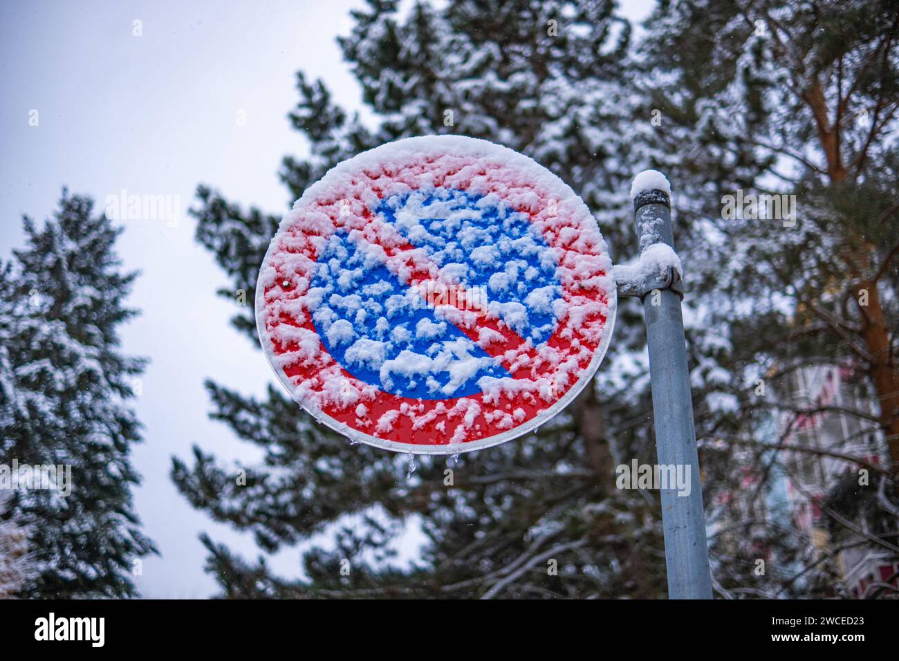 A road sign prohibiting parking is covered with sticky snow. "No ...