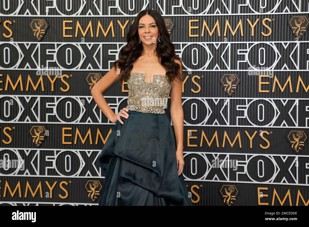 Terri Seymour arrives at the 75th Primetime Emmy Awards on Monday, Jan ...
