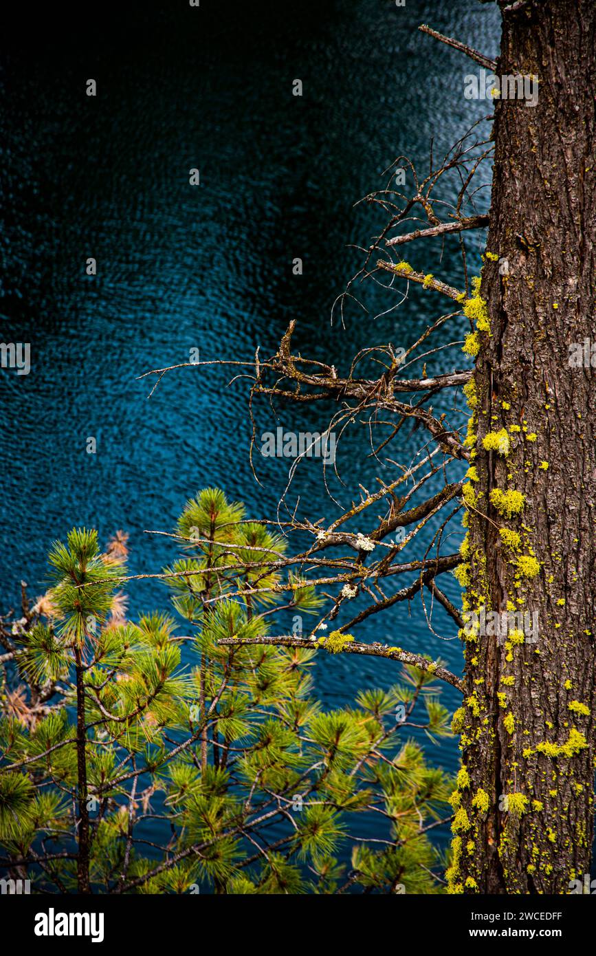 Spokane River, Spokane County, Washington Stock Photo - Alamy