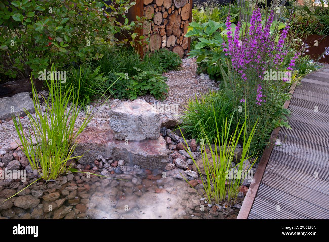 A timber walkway over a rockpool surrounded by marginal planting ...