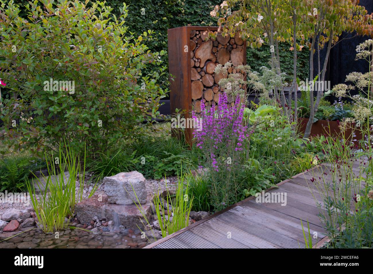 A timber walkway over a rockpool surrounded by marginal planting ...