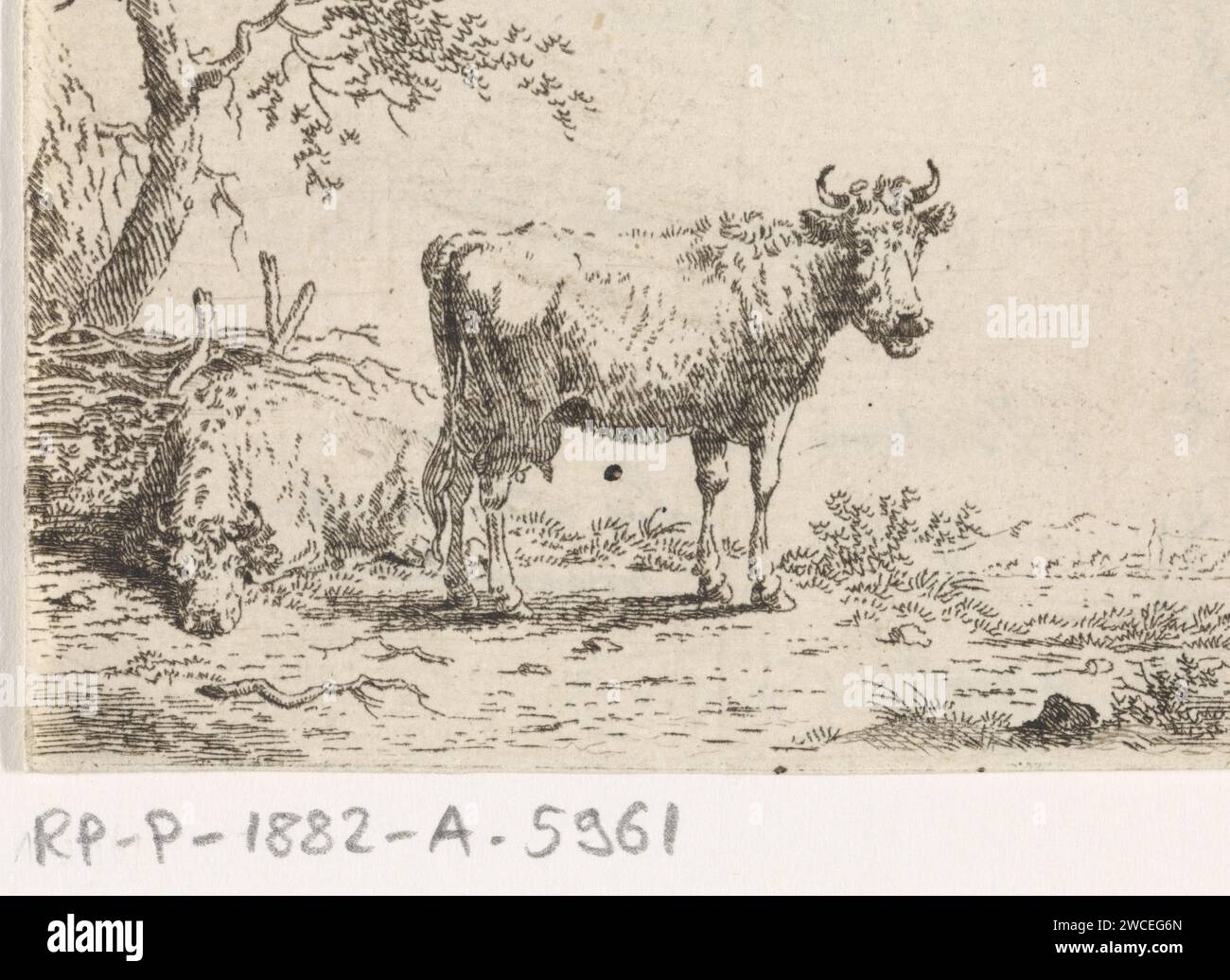 Standing and lying cow, Dirk van Oosterhoudt (Possible), 1766 - 1830 ...