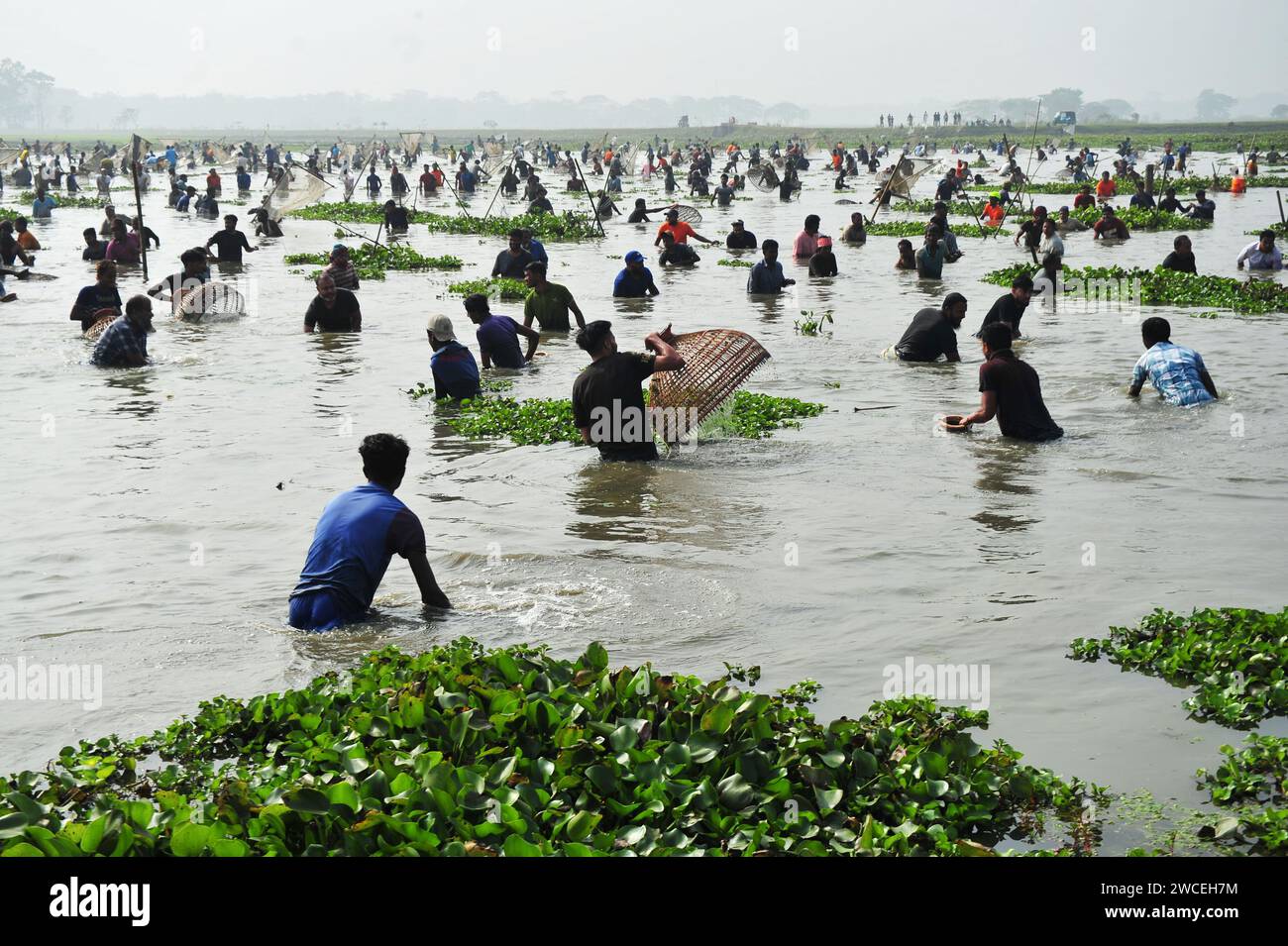 Non Exclusive: 15 January 2024 -Bangladesh: Rural people armed with ...