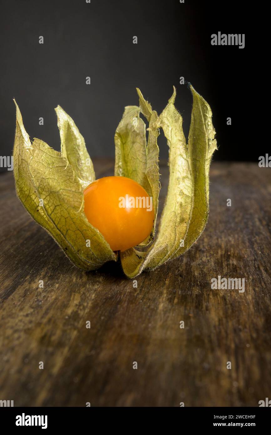 Ripe physalis ready to eat upright exotic fruit with pectin Stock Photo ...
