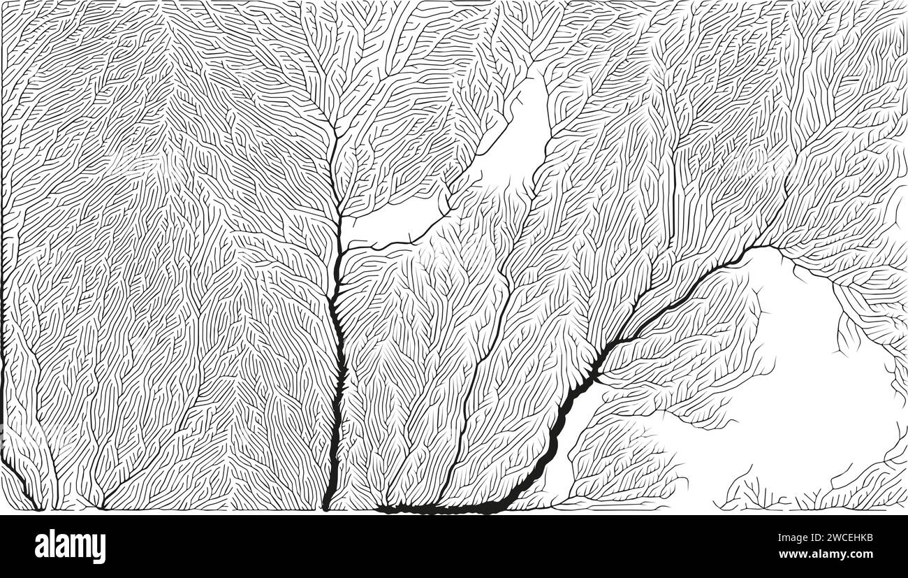 Growth pattern. Generative branching structure. Organic net of vessels ...