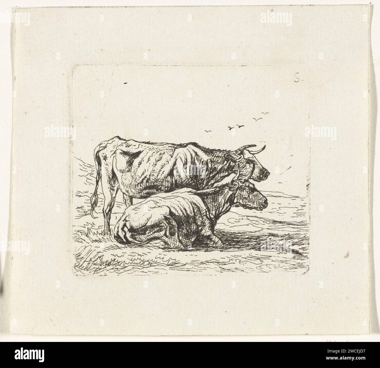 Two cows, Ernst Willem Jan Bagelaar, 1814 print Netherlands paper ...