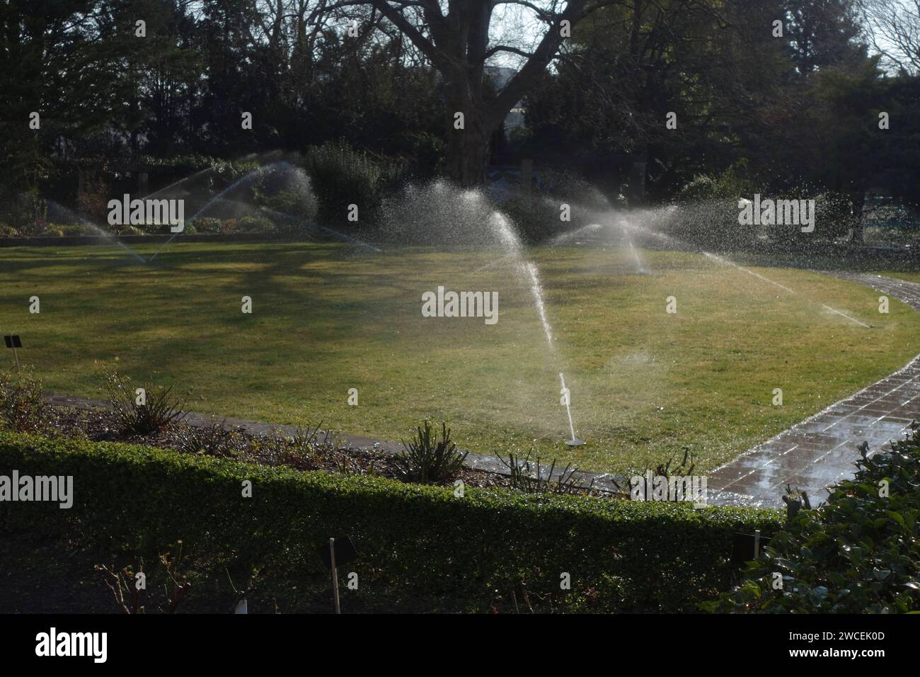 the lawn most basic in garden design and living architecture the lawn ...