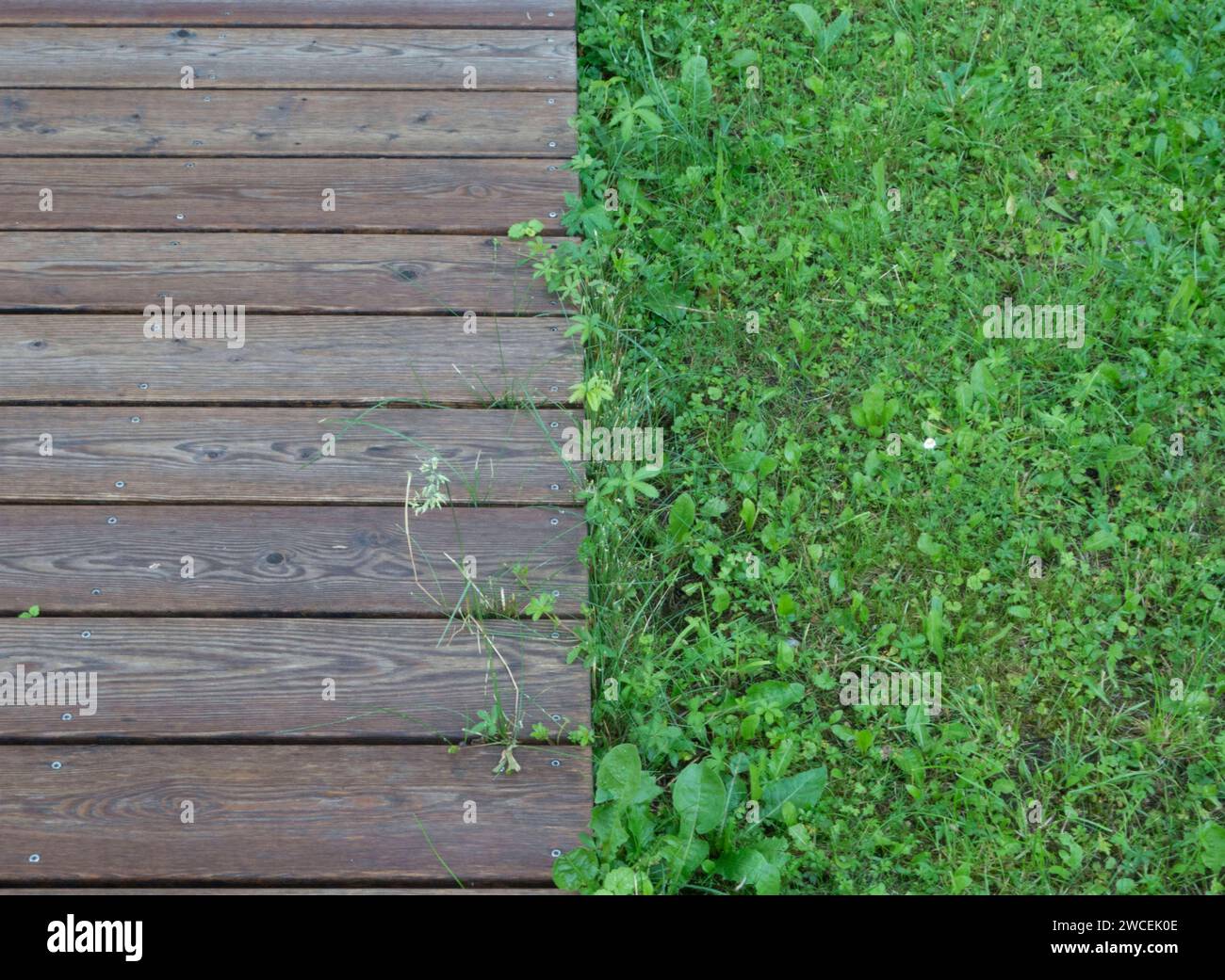 the lawn most basic in garden design and living architecture the lawn ...