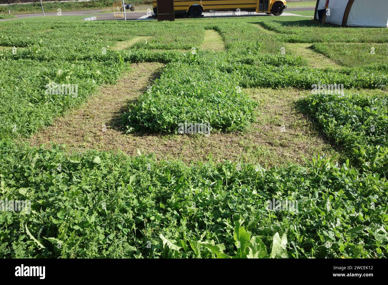 the lawn most basic in garden design and living architecture the lawn ...