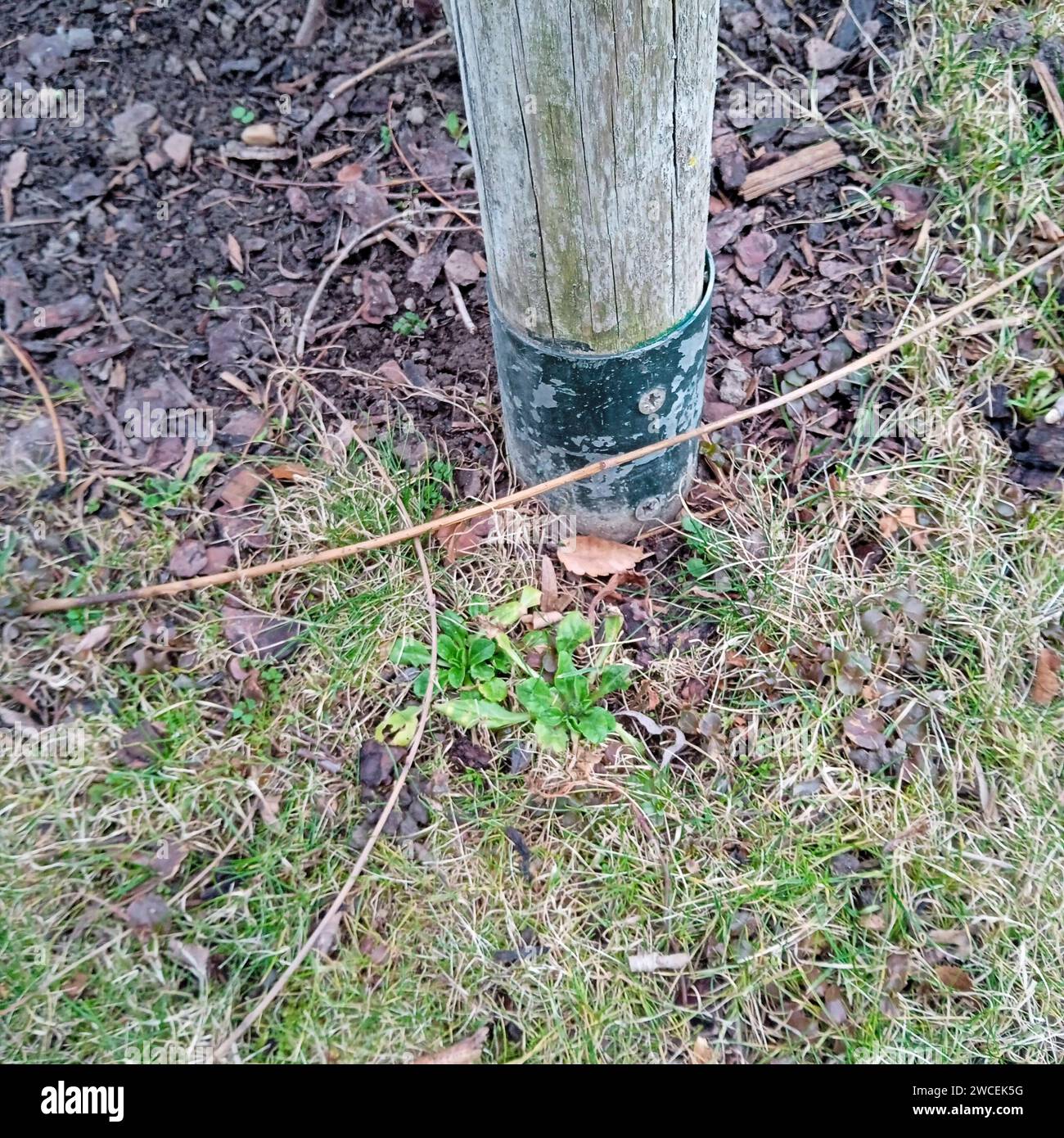 the lawn most basic in garden design and living architecture the lawn ...