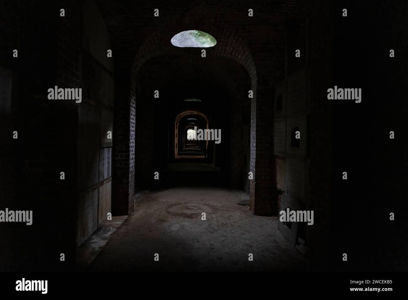 Terrace Catacombs at Highgate Cemetery, North London graveyard secures ...