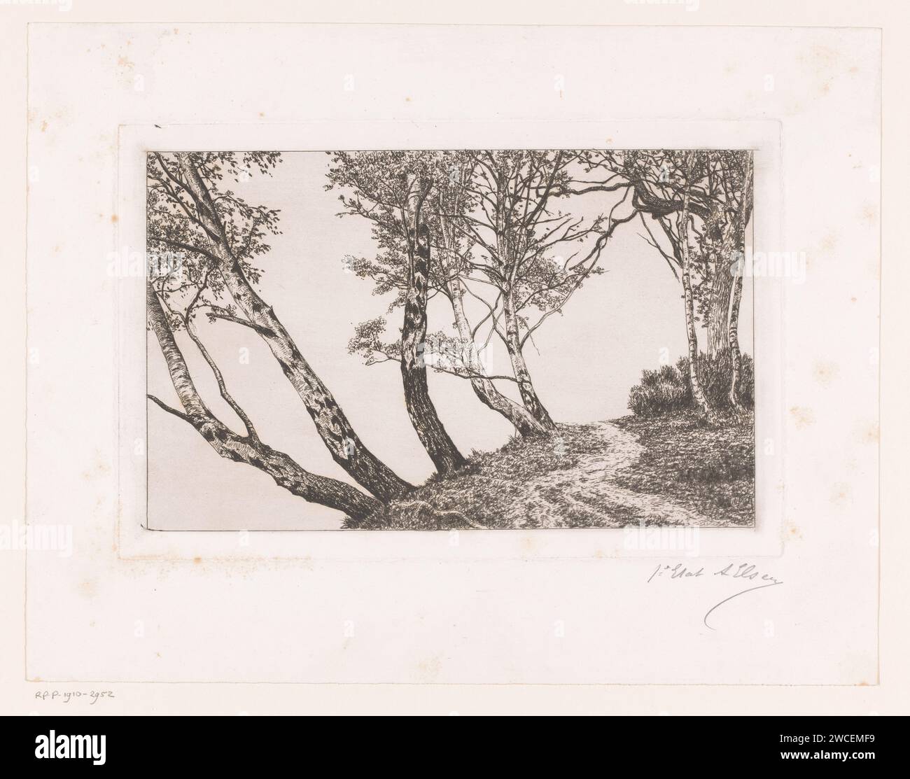 Landscape with birch along a shore, Alfred Elsen, 1860 - 1910 print ...