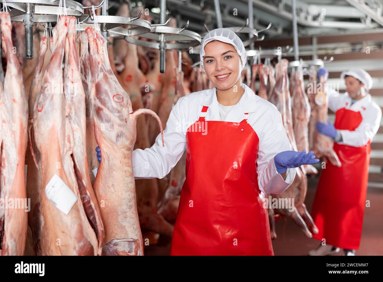 Female butcher shop worker checking hanging raw lamb carcasses Stock ...