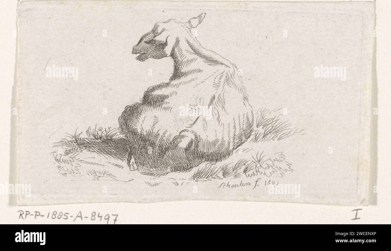 Lying Schaap, Hendrik Marcus Schouten, 1809 print Print described on A ...