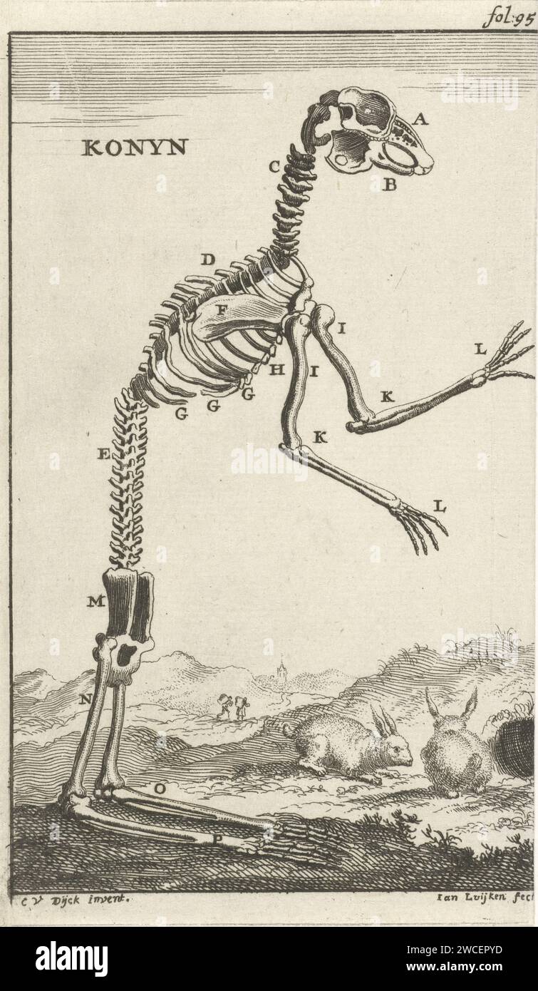 Frame of a rabbit, Jan Luyken, after Cornelis van Dyk, 1680 print Print ...