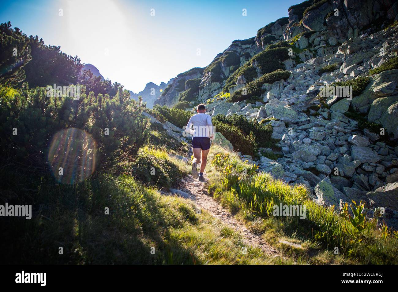 trail runner running in mountain landscape at sunset active lifestyle ...